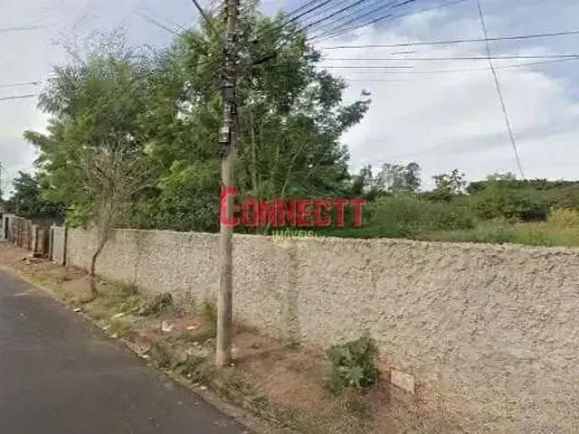 Terreno / Lote para Venda em Ribeirão Preto/SP Vila Virgínia