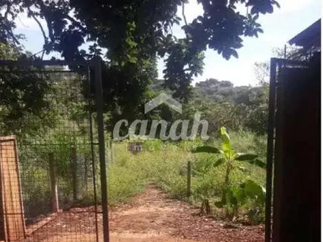 Terreno / Lote para Venda em Ribeirão Preto/SP Vila Virgínia