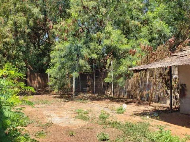 Terreno / Lote para Venda em Ribeirão Preto/SP Vila Virgínia