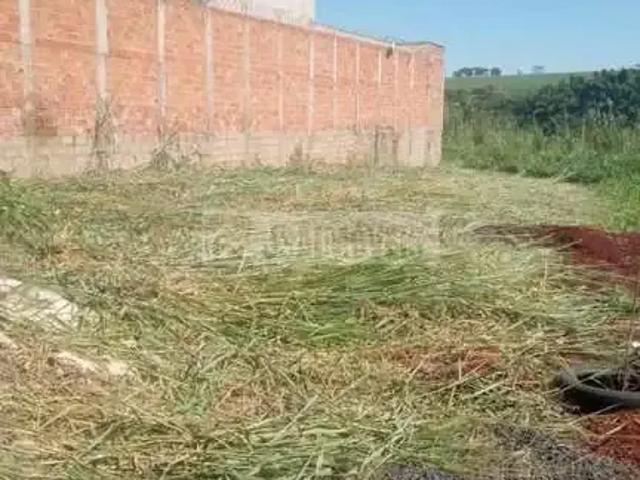 Terreno / Lote para Venda em Ribeirão Preto/SP Vila Virgínia