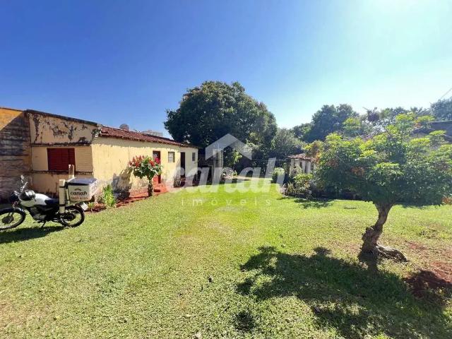 Terreno / Lote para Venda em Ribeirão Preto/SP Vila Virgínia