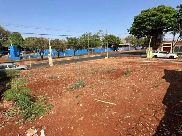 Terreno / Lote para Venda em Ribeirão Preto/SP Vila Virgínia