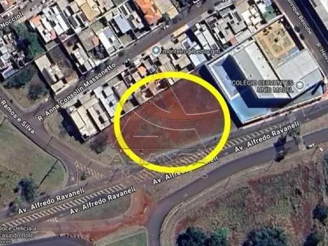 Terreno / Lote para Venda em Ribeirão Preto/SP Villas Mabel