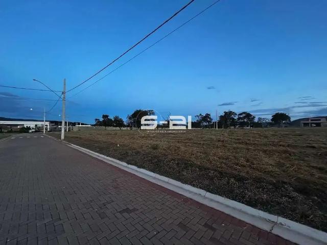 Terreno / Lote para Venda em Rifaina/SP Centro