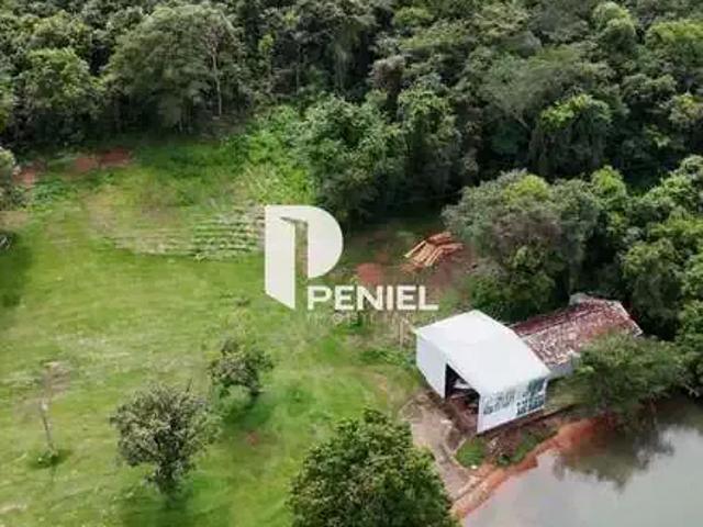 Terreno / Lote para Venda em Rifaina/SP Centro