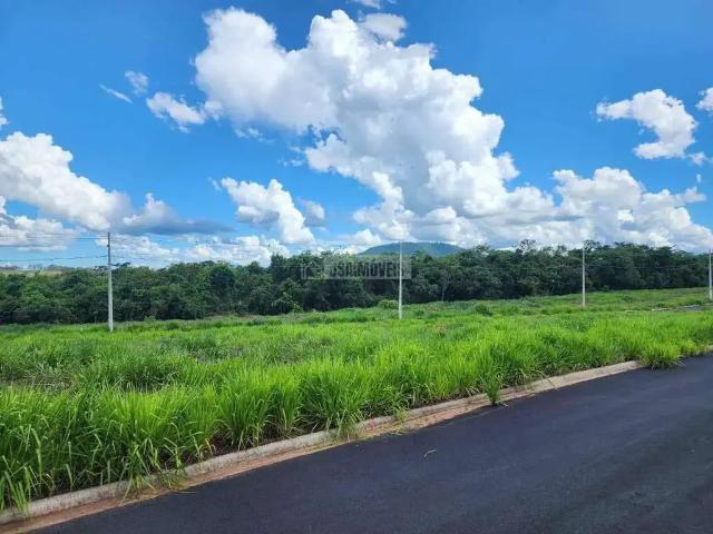 Terreno / Lote para Venda em Rifaina/SP Centro