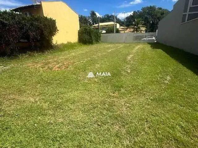 Terreno / Lote para Venda em Rifaina/SP Residencial Morada da Fronteira