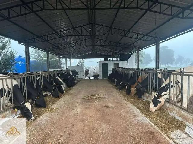 Terreno / Lote para Venda em Romelândia/SC Centro