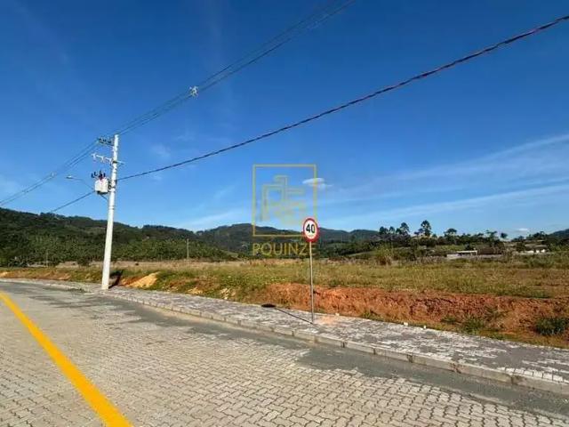 Terreno / Lote para Venda em Rodeio/SC Rodeio 12