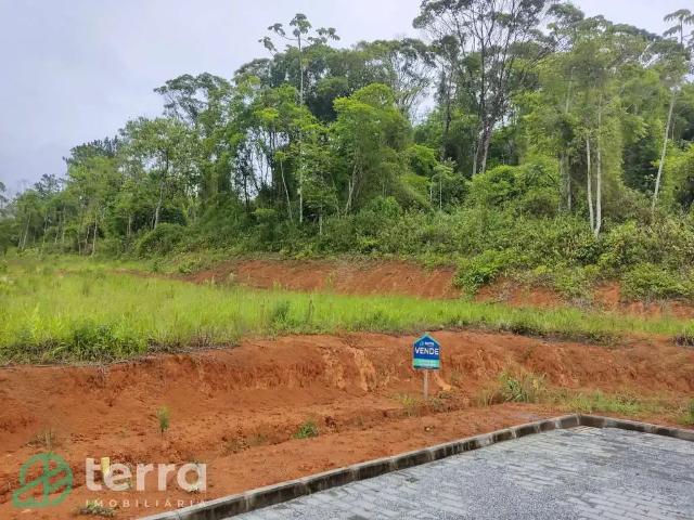 Terreno / Lote para Venda em Rodeio/SC Rodeio 12