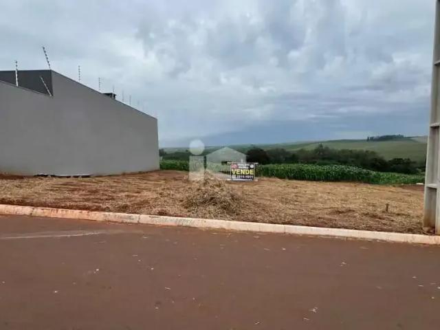 Terreno / Lote para Venda em Rolândia/PR Arnaldo Buzato