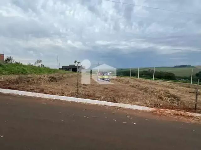Terreno / Lote para Venda em Rolândia/PR Arnaldo Buzato