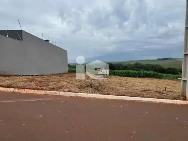 Terreno / Lote para Venda em Rolândia/PR Arnaldo Buzato