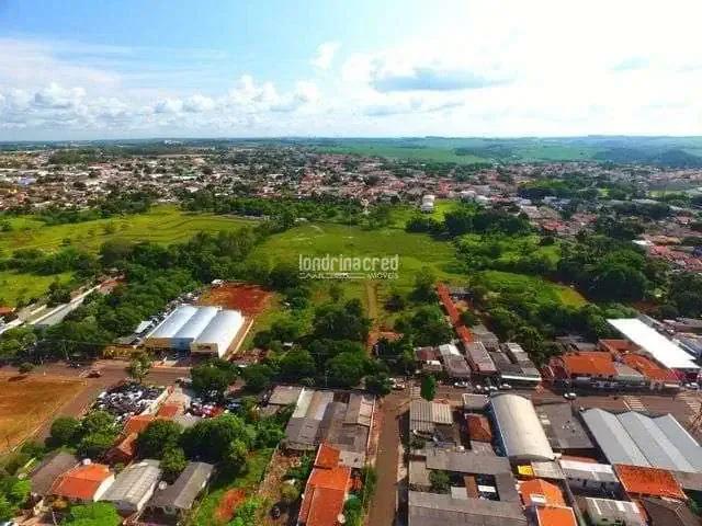 Terreno / Lote para Venda em Rolândia/PR Centro