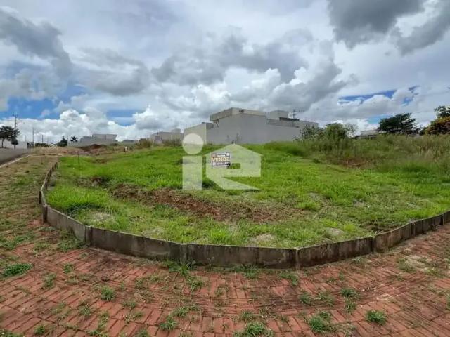 Terreno / Lote para Venda em Rolândia/PR Centro