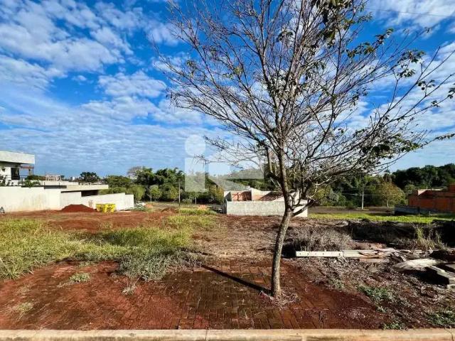 Terreno / Lote para Venda em Rolândia/PR Centro