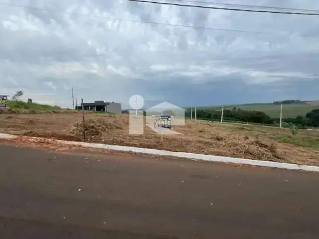 Terreno / Lote para Venda em Rolândia/PR Centro
