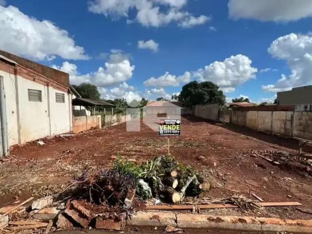 Terreno / Lote para Venda em Rolândia/PR Centro