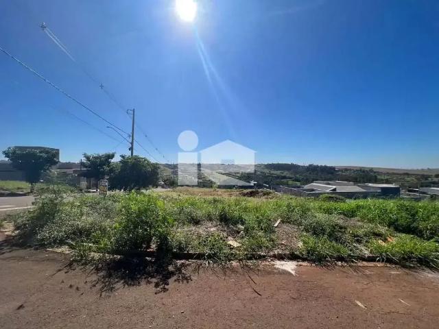 Terreno / Lote para Venda em Rolândia/PR Jardim Vale Verde