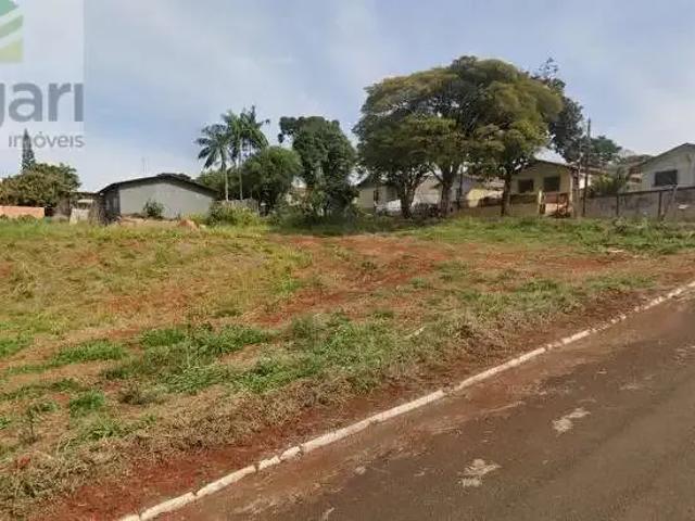 Terreno / Lote para Venda em Rolândia/PR Jardim Alto da Boa Vista