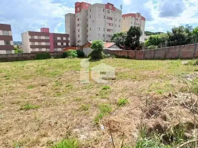 Terreno / Lote para Venda em Rolândia/PR Jardim Alto da Boa Vista