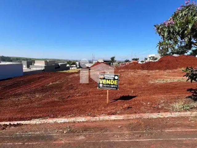 Terreno / Lote para Venda em Rolândia/PR Jardim Asteca