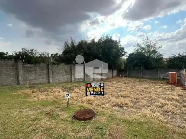 Terreno / Lote para Venda em Rolândia/PR Jardim Campo Belo