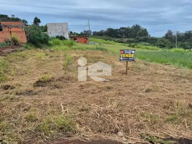 Terreno / Lote para Venda em Rolândia/PR Jardim Cidade Nova II