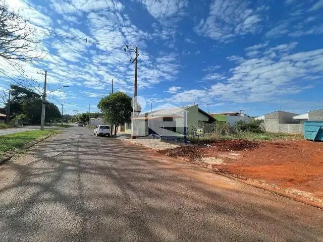 Terreno / Lote para Venda em Rolândia/PR Jardim Roland