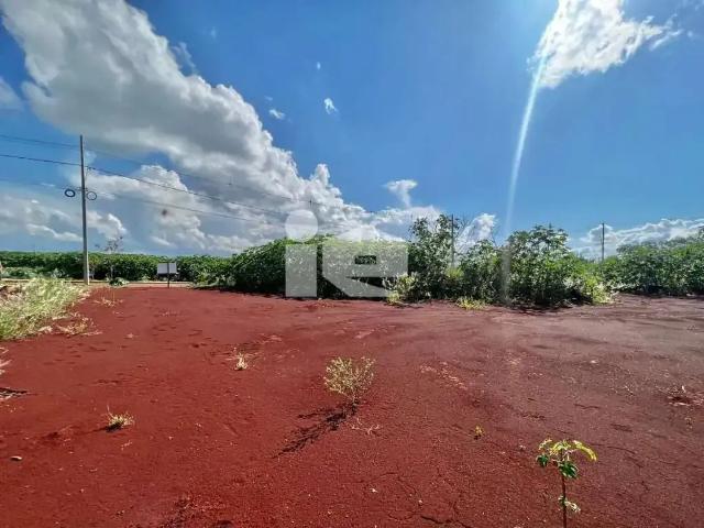 Terreno / Lote para Venda em Rolândia/PR Residencial Portal Arabela