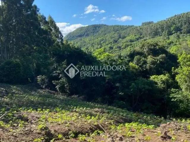 Terreno / Lote para Venda em Rolante/RS Areia