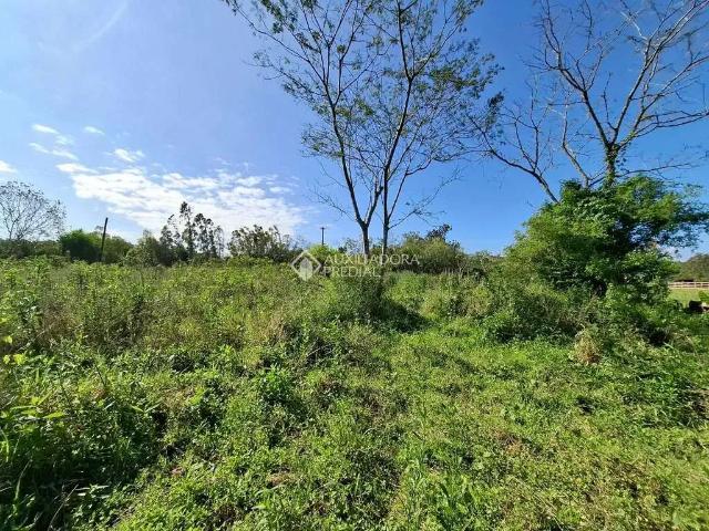Terreno / Lote para Venda em Rolante/RS Rolantinho