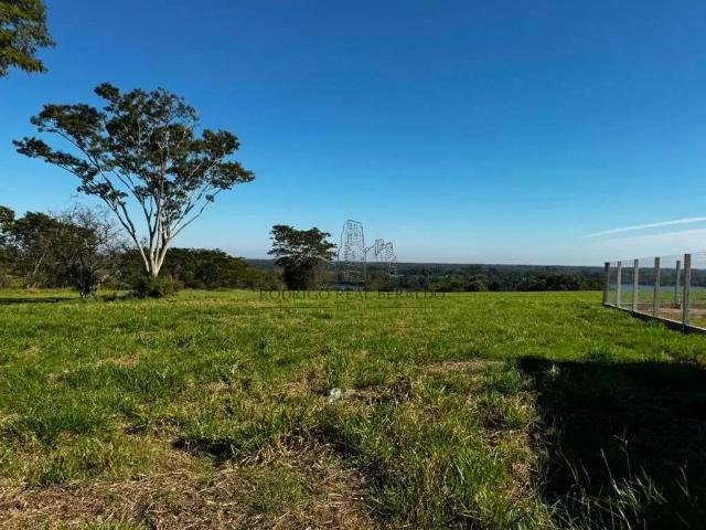 Terreno / Lote para Venda em Rosana/SP Centro