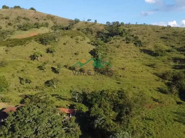 Terreno / Lote para Venda em Roseira/SP Centro