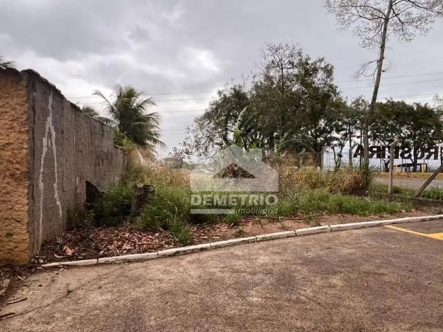 Terreno / Lote para Venda em Roseira/SP Roseira Velha