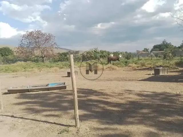 Terreno / Lote para Venda em Roseira/SP Veloso