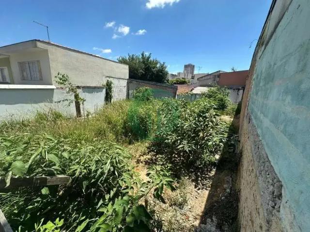 Terreno / Lote para Venda em São Caetano do Sul/SP Cerâmica