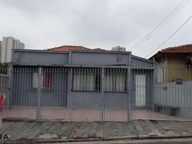 Terreno / Lote para Venda em São Caetano do Sul/SP Olímpico