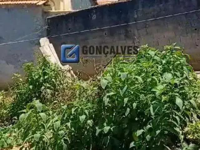 Terreno / Lote para Venda em São Caetano do Sul/SP Osvaldo Cruz