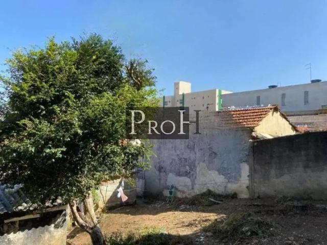 Terreno / Lote para Venda em São Caetano do Sul/SP Osvaldo Cruz