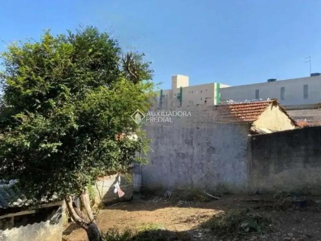 Terreno / Lote para Venda em São Caetano do Sul/SP Osvaldo Cruz