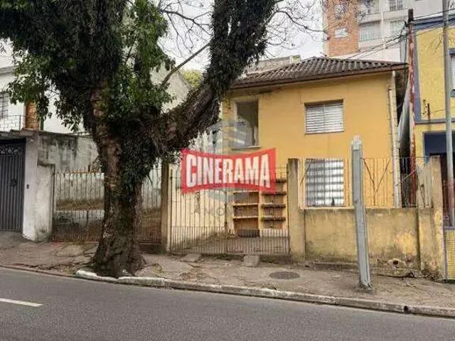 Terreno / Lote para Venda em São Caetano do Sul/SP Osvaldo Cruz