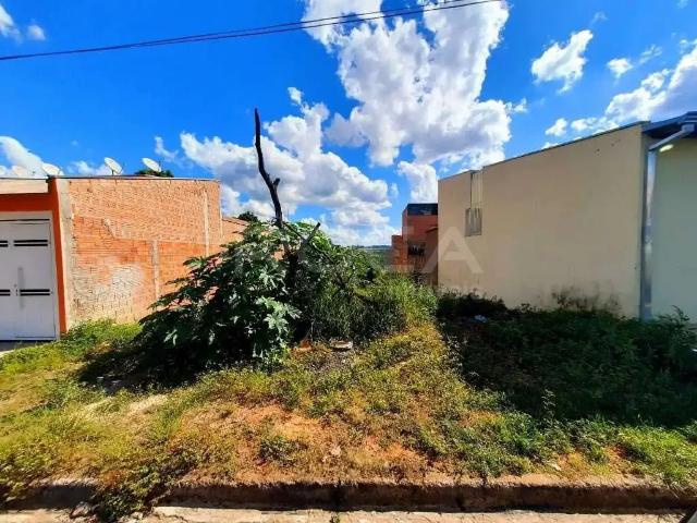 Terreno / Lote para Venda em São Carlos/SP Cidade Aracy