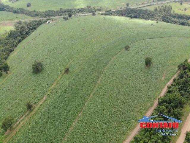 Terreno / Lote para Venda em São Carlos/SP Água Vermelha