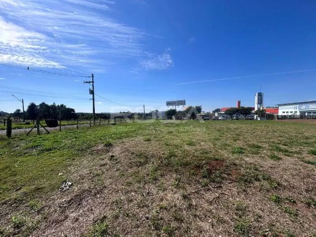 Terreno / Lote para Venda em São Carlos/SP Altos do Santa Felícia