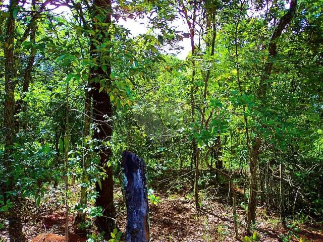 Terreno / Lote para Venda em São Carlos/SP Aporá de São Fernando