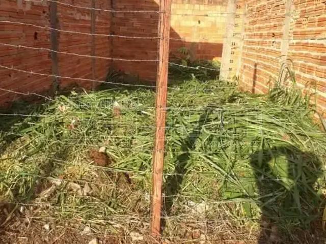 Terreno / Lote para Venda em São Carlos/SP Azulville 2