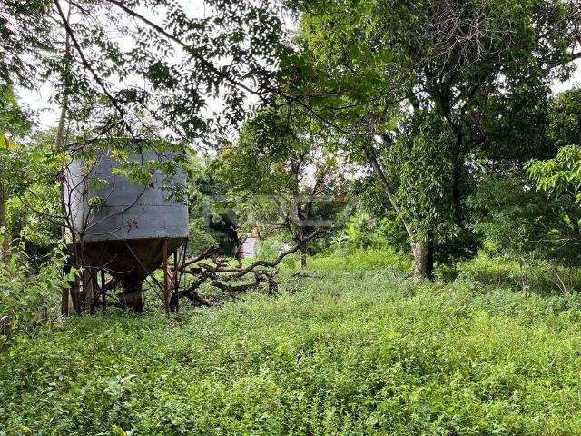 Terreno / Lote para Venda em São Carlos/SP Distrito Industrial Miguel Abdelnur