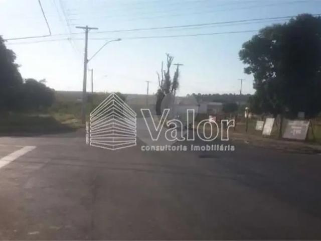 Terreno / Lote para Venda em São Carlos/SP Jardim Munique