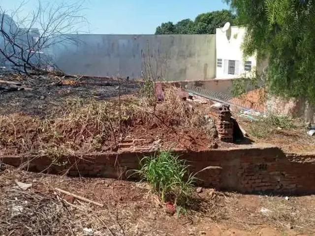 Terreno / Lote para Venda em São Carlos/SP Jardim Beatriz